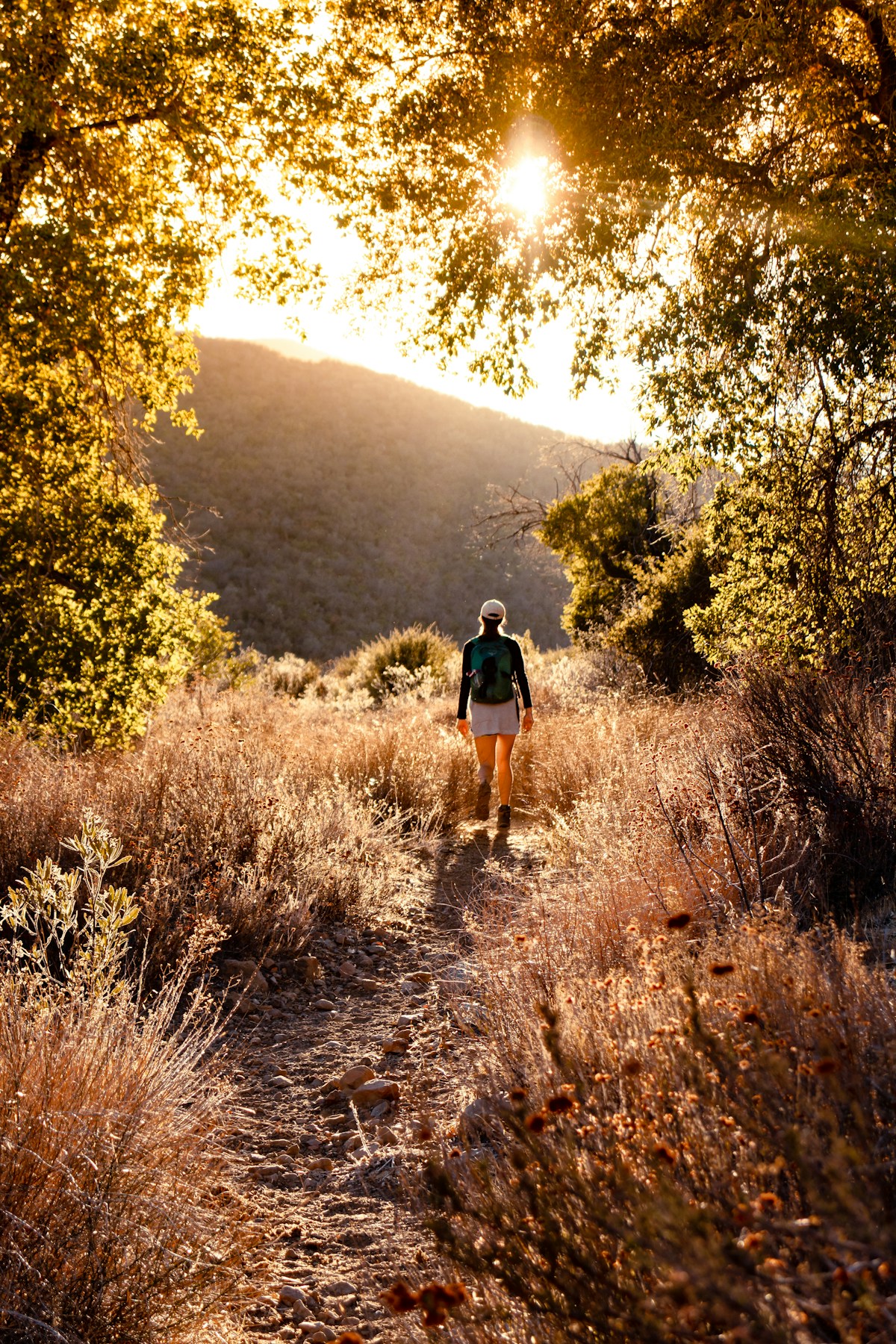 Famous Trails and What Makes Them Worth the Hype - Trail Rise